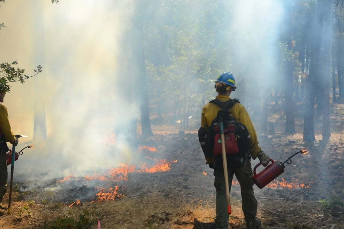 Frisco Fire Department Schedules Prescribed Burn for Ecological