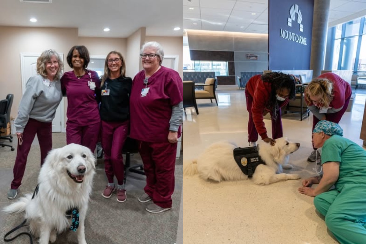 Grove City's Therapy Dog TK9 Bo Visits Healthcare Workers in Ohio to