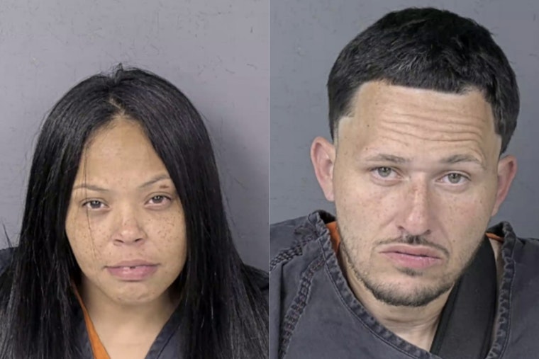 Hernando County Sting Operation Thwarts Drug Flush, Nets Trafficker