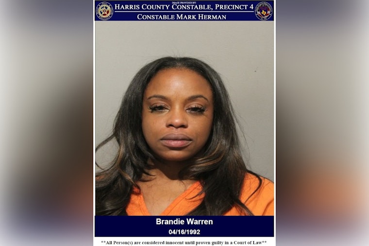 Houston Area Driver Charged with DWI and Unlawful Weapon Possession