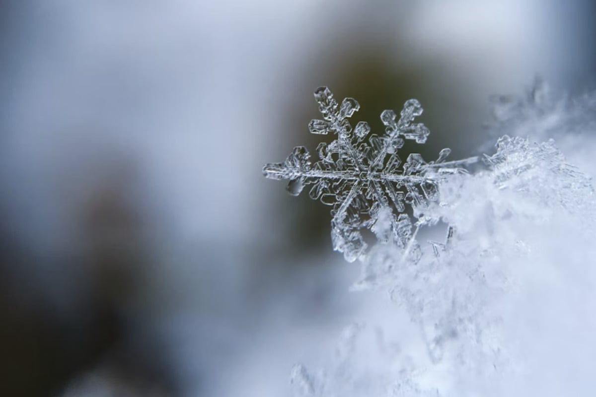Houston on Alert for Weekend Weather Woes as Freezing Rain, Ice Storms