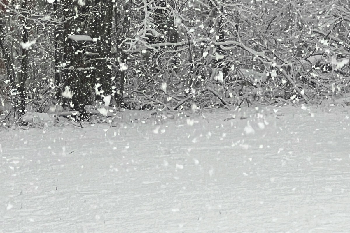 Ice Storm Warning Issued for Charlotte, Greenville, Spartanburg With