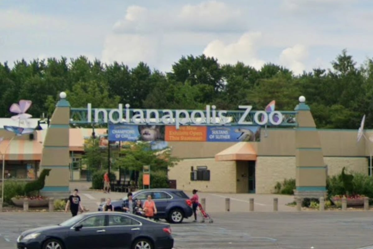 Indianapolis Zoo Celebrates Arrival of Newborn White-Handed Gibbon