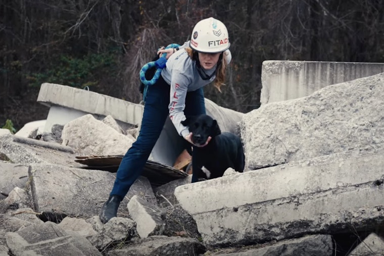 Jacksonville and Texas K9 Units Team Up for Advanced Rescue Training