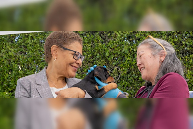 Los Angeles Mayor Partners with Project Street Vet to Provide Care for