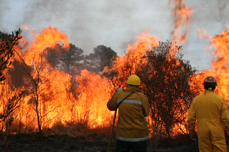 Maryland Enhances Wildfire Defense with $167,314 in Grants to Rural