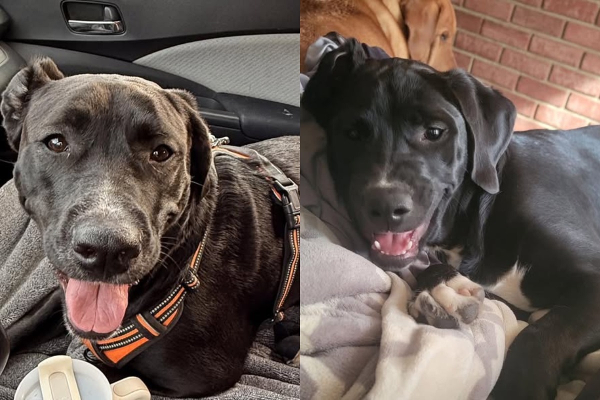 Middletown Rejoices as Missing Jenny Found Safe, Highlighting