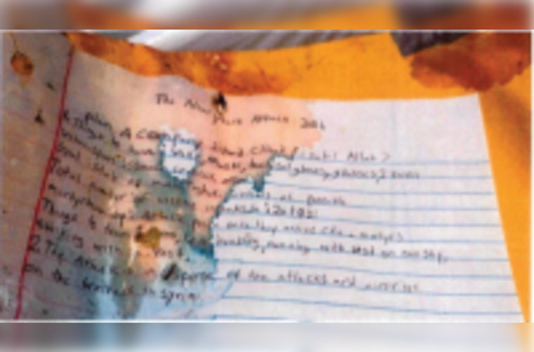 Mint Hill Menace, Suspected ISIS Supporter Busted for New Year's Eve