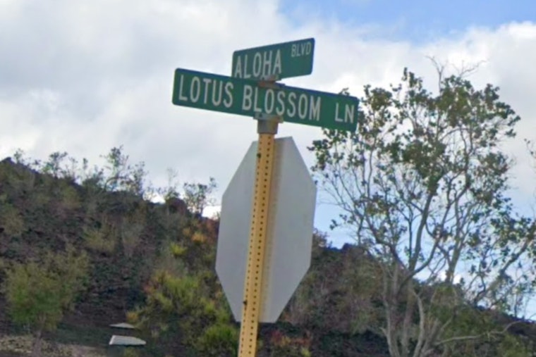 Ocean View Crash Spins Into Gunpoint Heist as Cops Hunt Pickup Duo