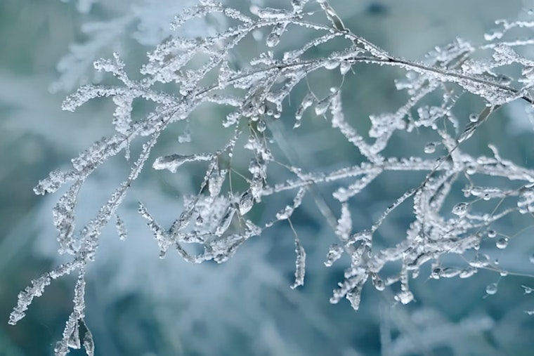 Philadelphia Braces for Wintry Mix with Snow and Rain Expected, Sunny