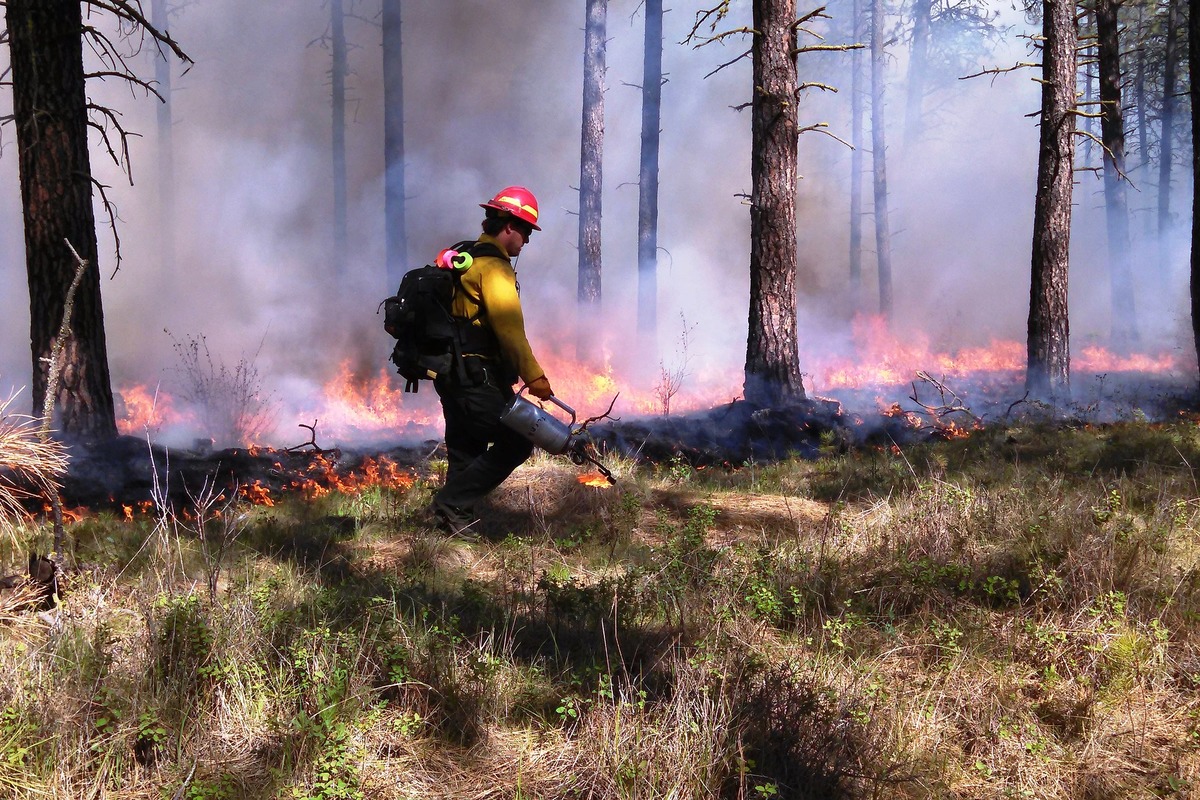 Prescribed Burn at Lost Dutchman State Park Aims to Mitigate Wildfire