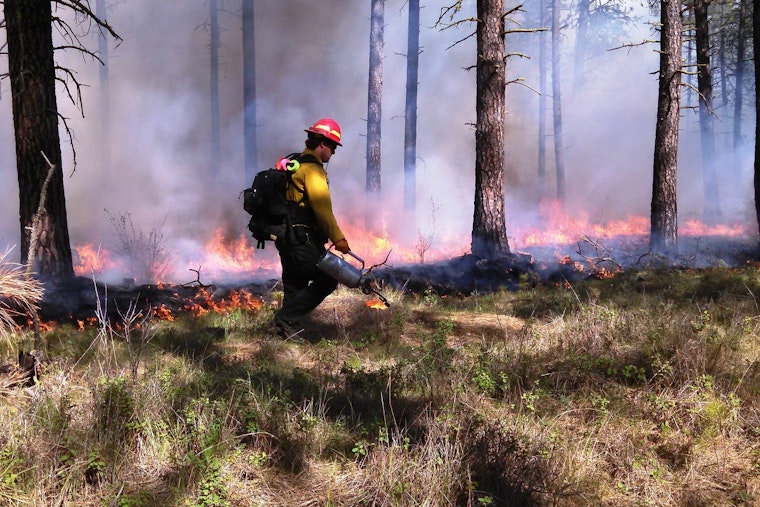 Prescribed Burn at Lost Dutchman State Park Aims to Mitigate Wildfire