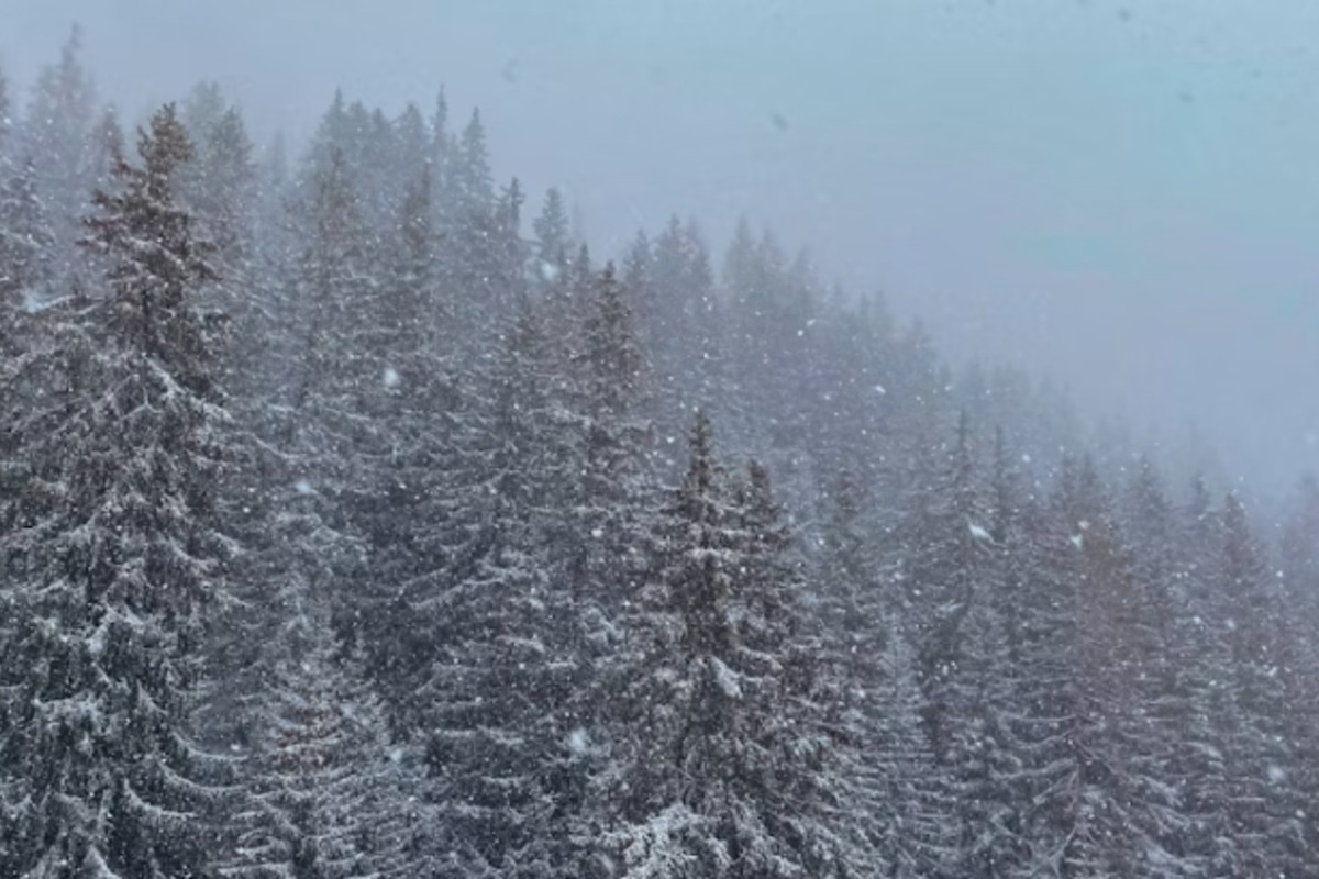 Raleigh and Central NC Residents Prepare for Severe Winter Storm with