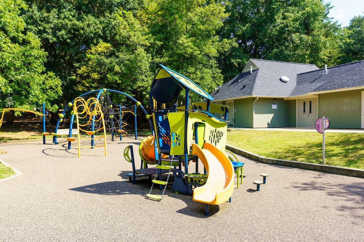 Raleigh's Powell Drive Park to Host 'Snowball Showdown' for Kids in