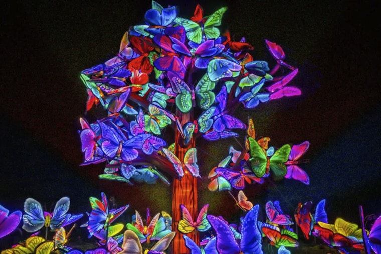 Saint Louis Zoo Welcomes Back Forest Park After Dark Animals Aglow
