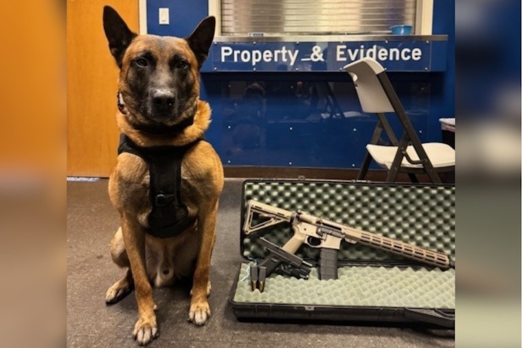 Santa Rosa Man Charged with Brandishing Firearm at Delivery Driver on