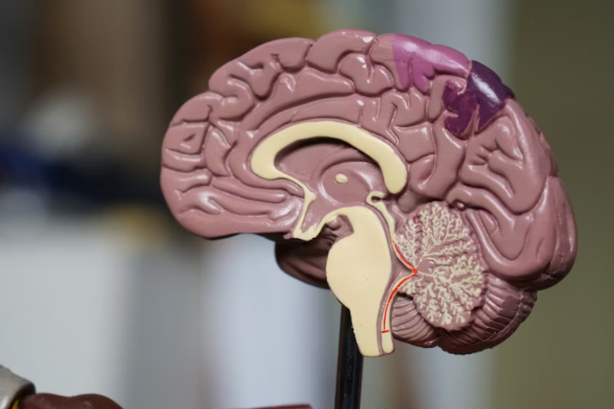 Seattle Brain Gadget Helps Stroke Survivor Get His Grip Back