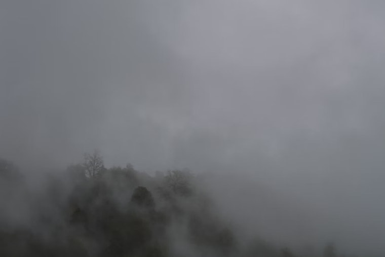 Seattle Grapples with Rare Freezing Fog as NWS Forecasts Calmer
