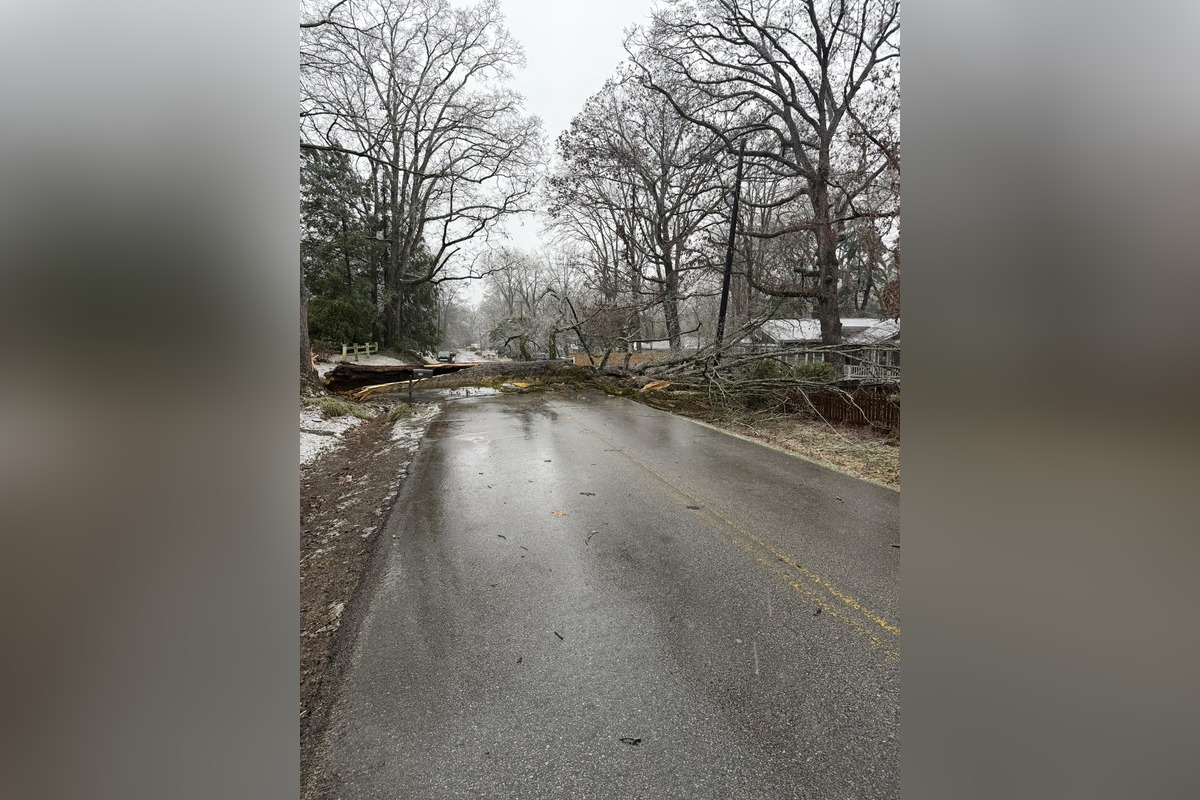 Signal Mountain Residents Advised to Reroute as Fallen Trees Cause