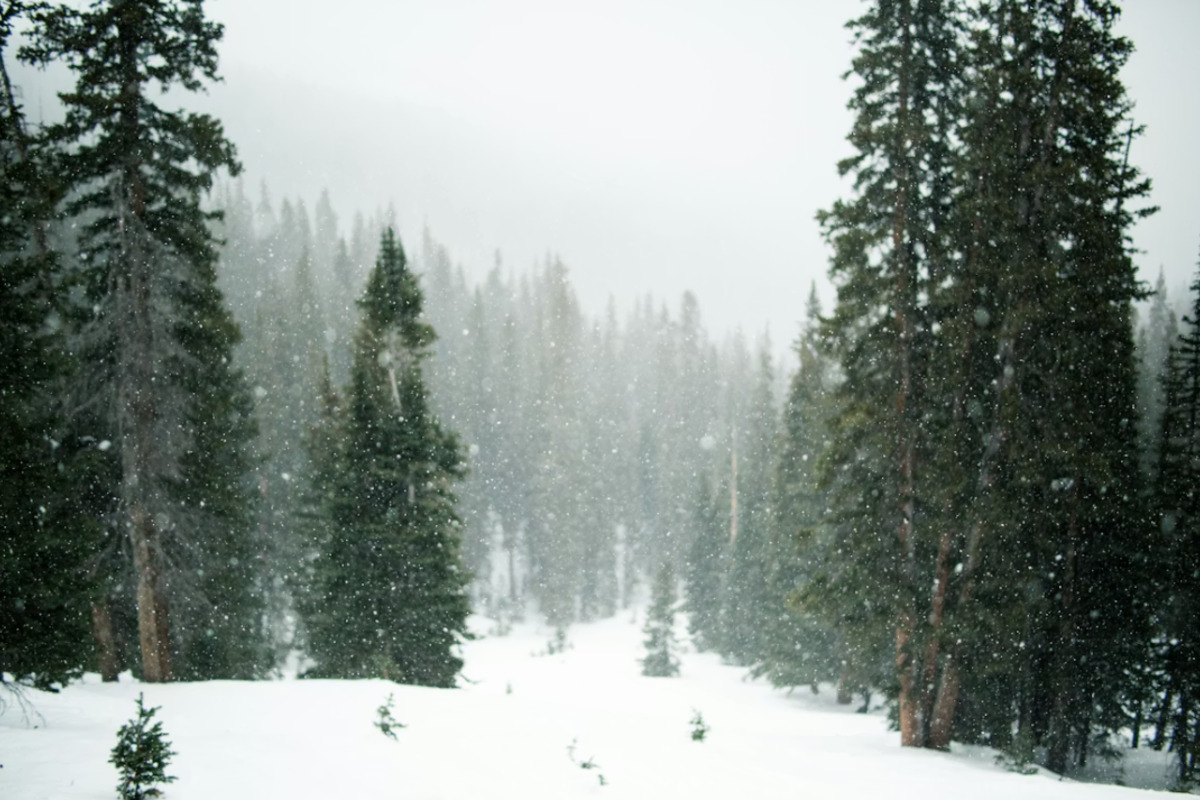 Washington D.C. on Alert as NWS Issues Advisories for Severe Winter