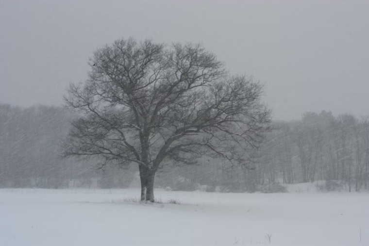 Washington DC on Alert as NWS Issues Winter Storm Watch for Heavy Snow