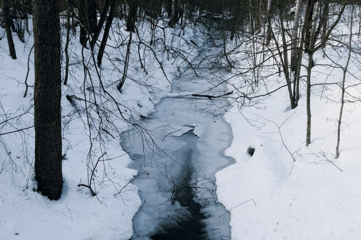 Water Main Break in Melvindale Repaired, Streets Cleared After Icy