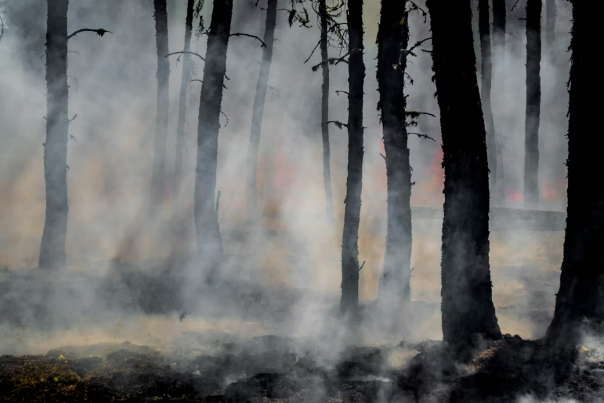 Nevada Law Upends Wildfire Coverage in Incline Village