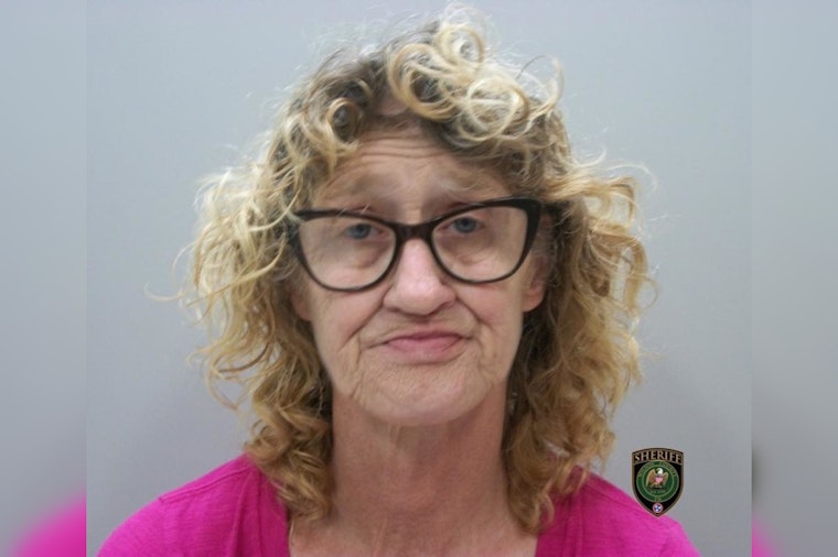 Wilson County Sheriff's Office Features Vickie Joyce Vinsant on "Felon