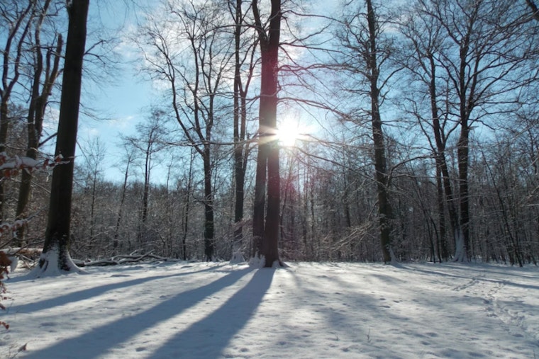 Winter Storm Watch in Effect for Central North Carolina with Heavy