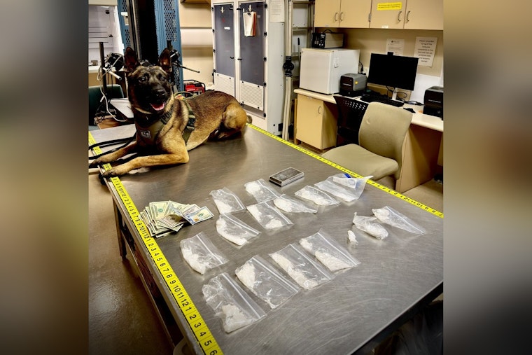 Woodland Woman Arrested for Suspected Drug Transportation and Sales
