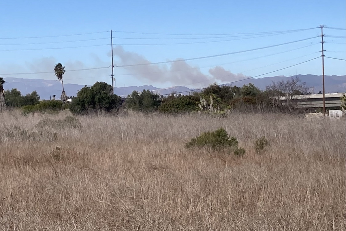 L.A. fire survivors say regulators ignored State Farm complaints