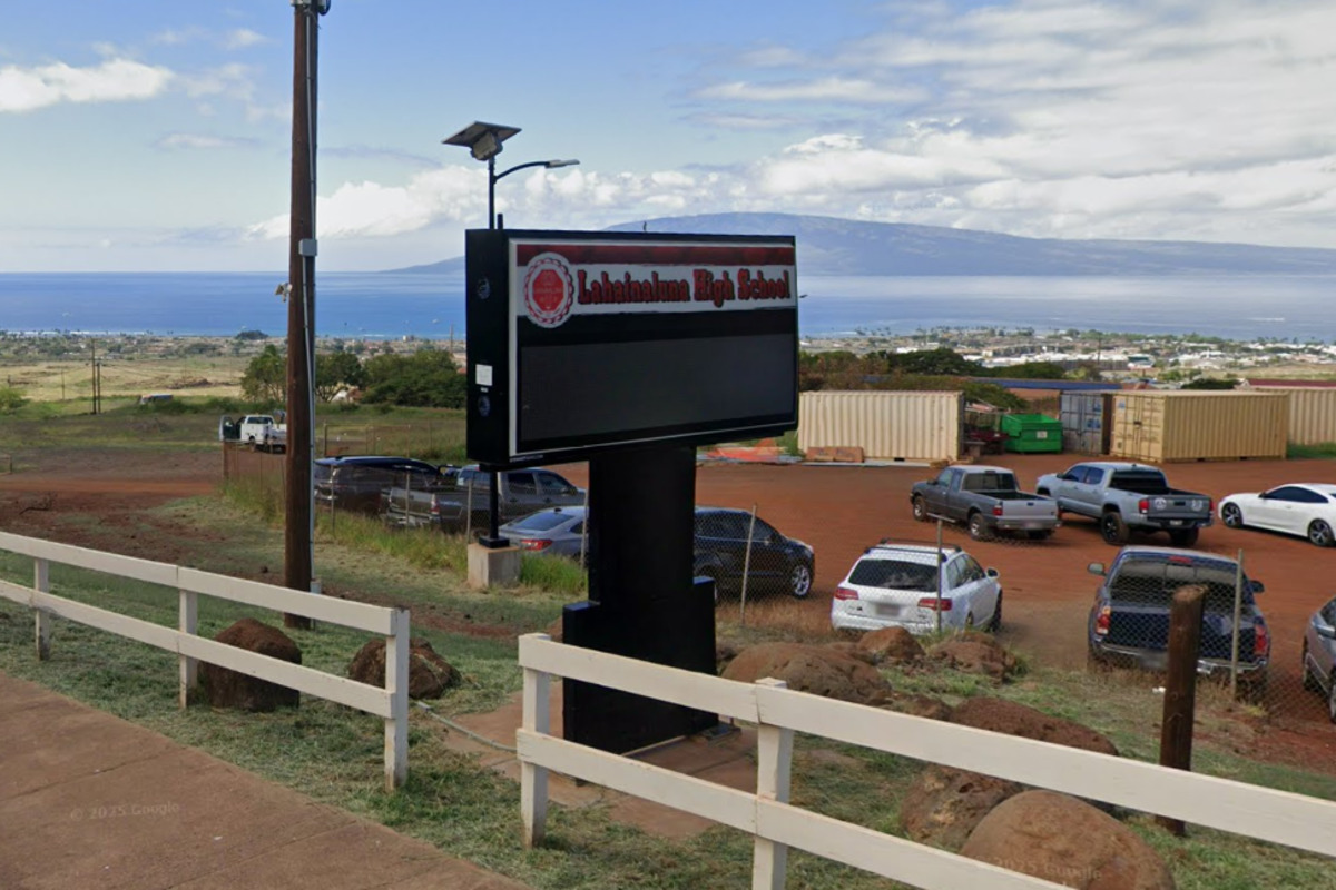 Lahainaluna Teens Turn Hillside Into Tree Hub For Lahaina Rebuild