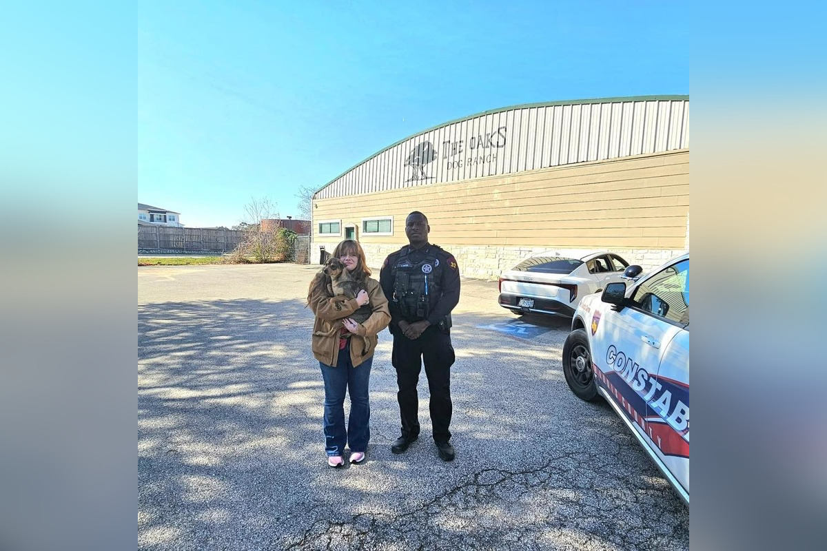 Houston deputies probe puppy thrown from vehicle near outlet mall