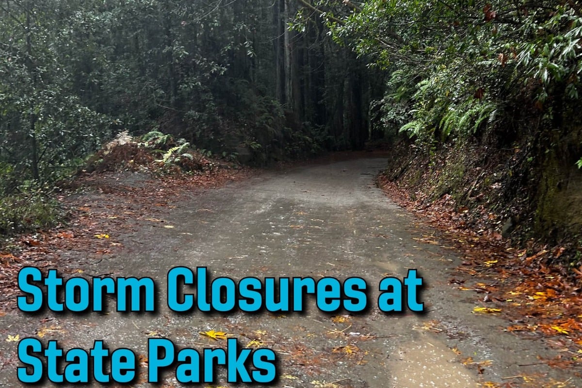Santa Cruz Redwoods Lock Up as Fierce Pacific Storm Roars In