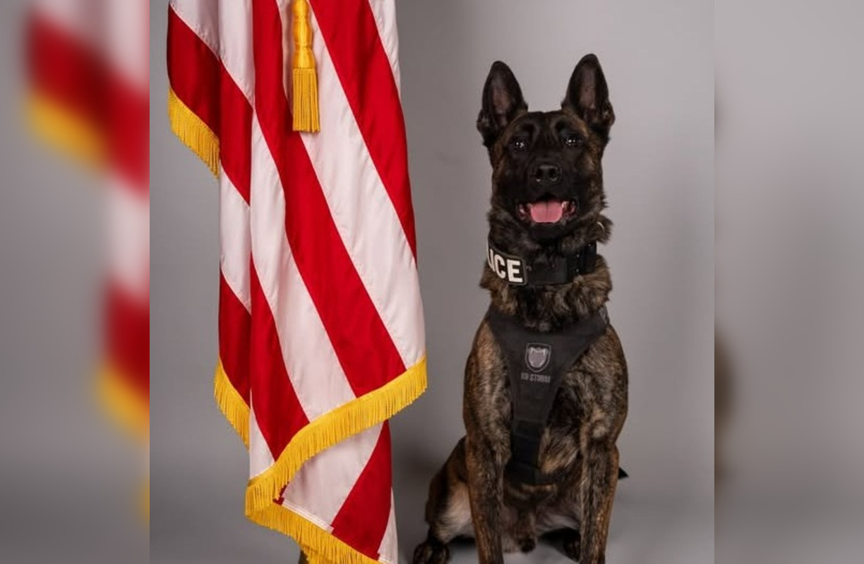 Travonte Tate Pleads Guilty to Assault on Police K9 and Resisting