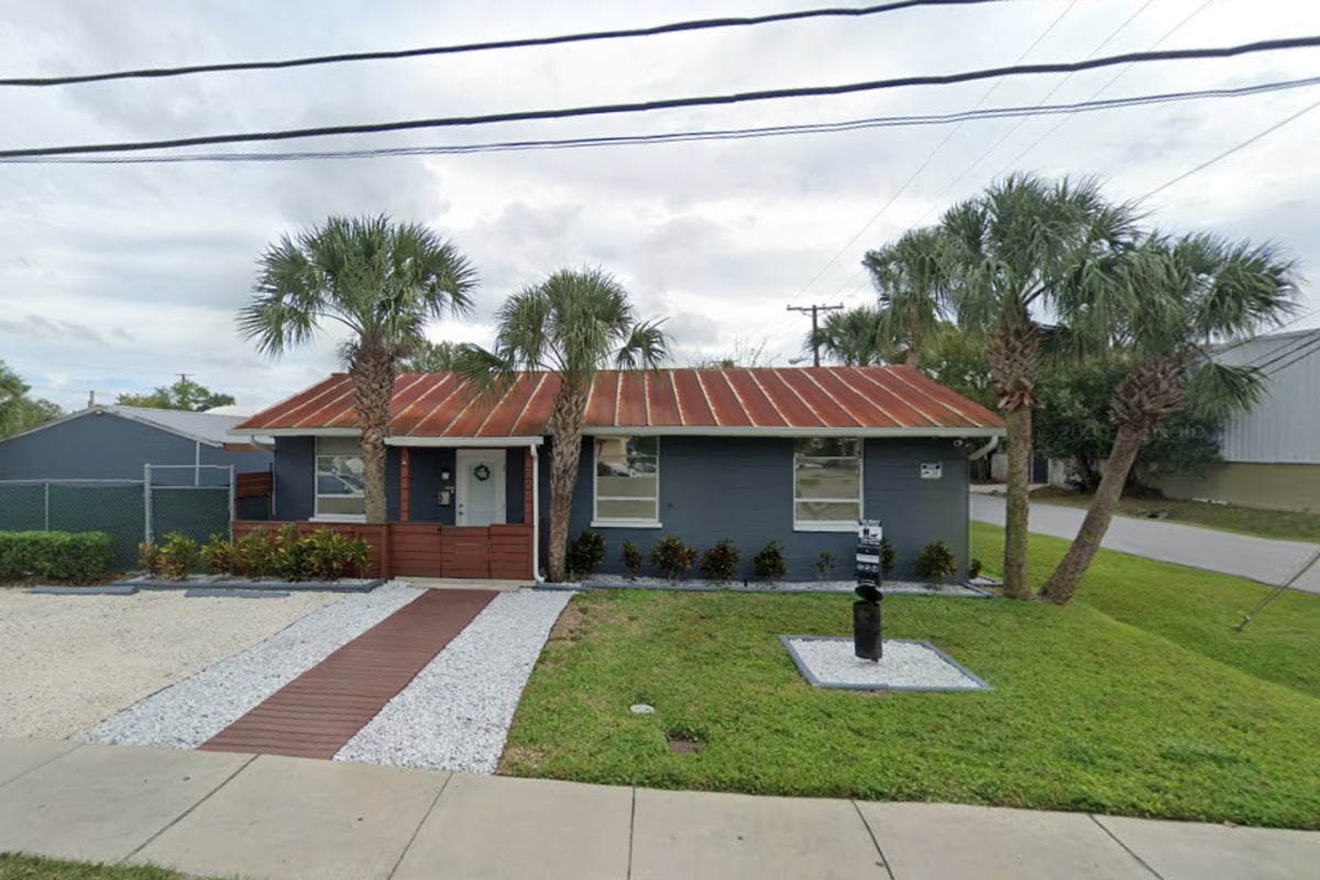 Backyard Puppy Boom Has Tampa Rescue Packed To The Rafters