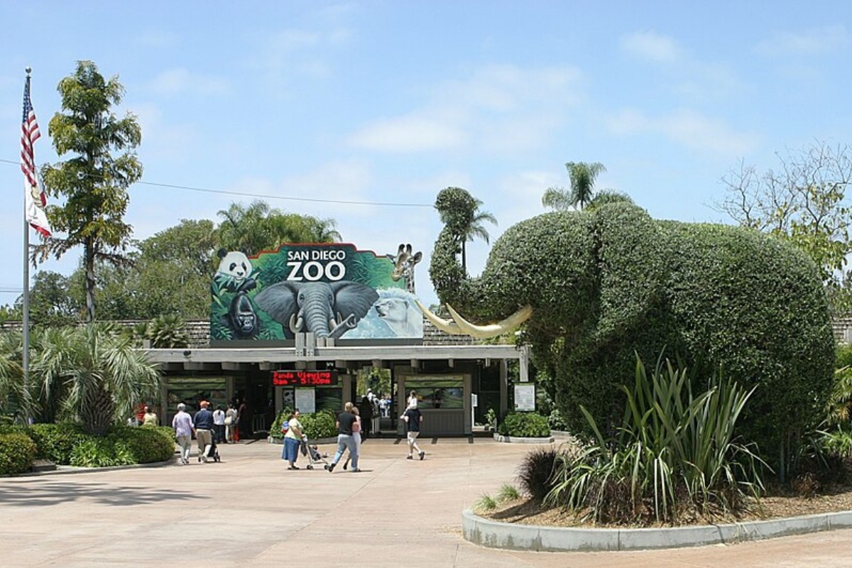 Brain‑Invading Rat Worm Creeps Into San Diego Zoo and Backyards