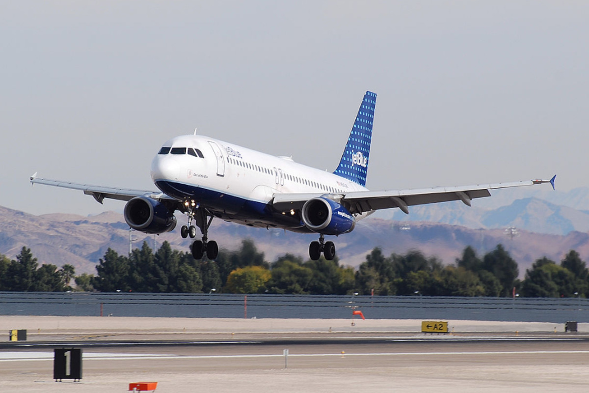 JetBlue Plane Hits Coyote During Takeoff From Providence