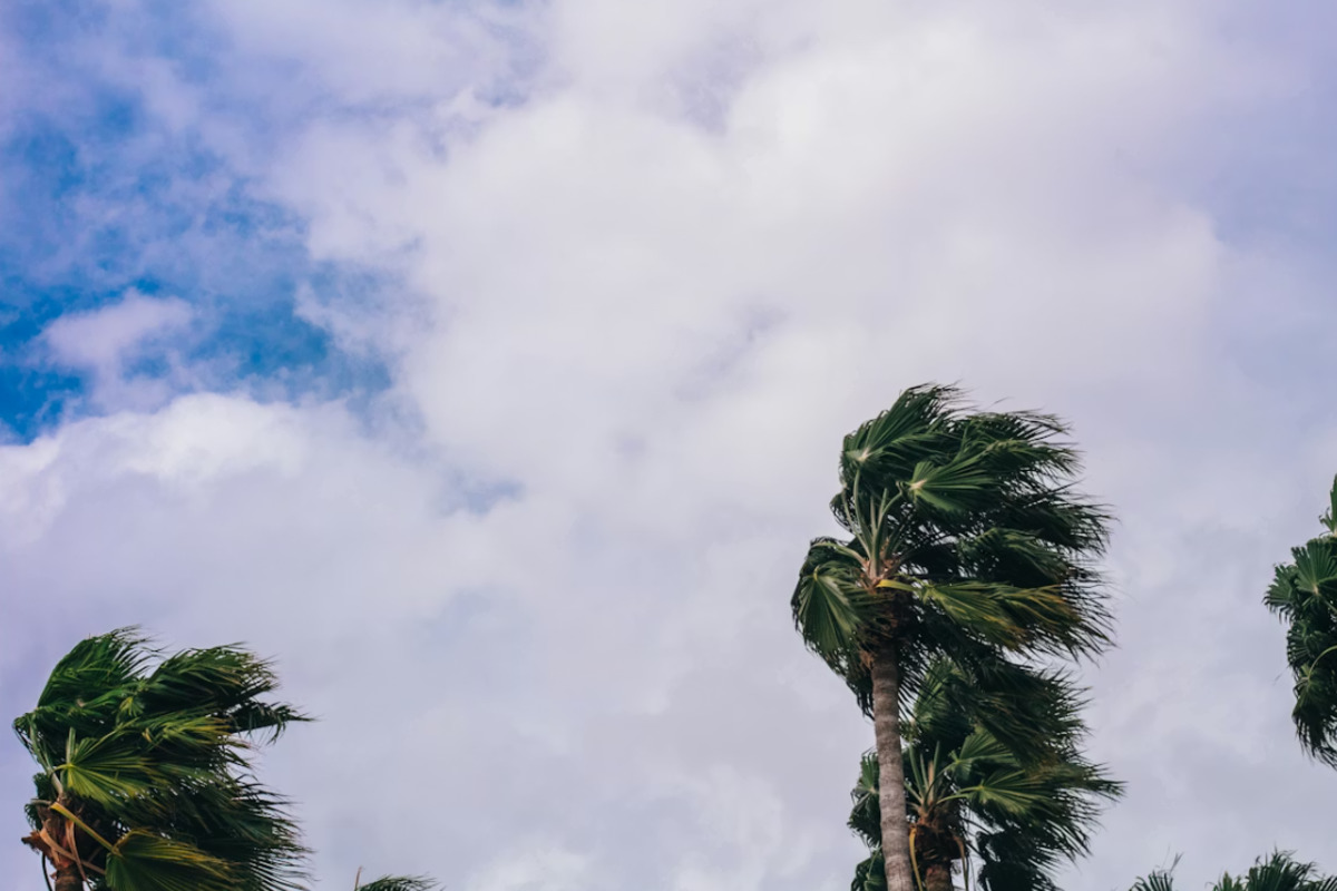 Hold Onto Your Trash Cans as Southwest Wind Blast Targets St. Louis