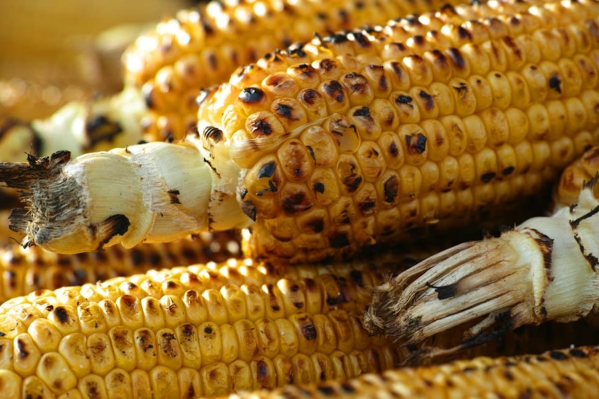 La Jolla Lab Star Maps ‘Safe’ Food Bits in Gut, Raising Hopes for