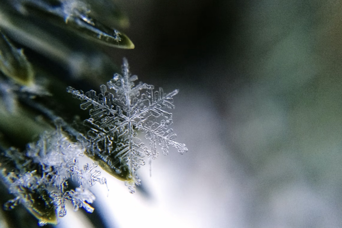 St. Louis Weather: Windy Sunday With Rain Changing To Snow