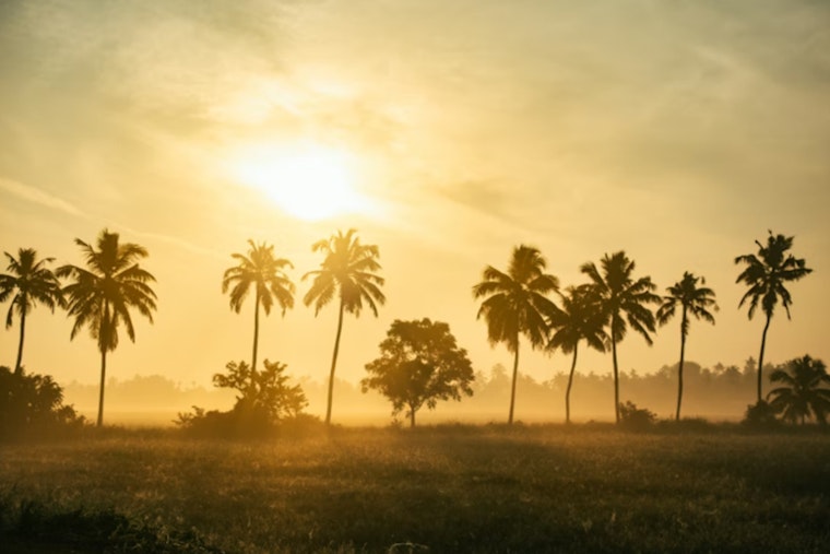 Las Vegas Chokes On F Grade As Clark County Flunks Clean-Air Report