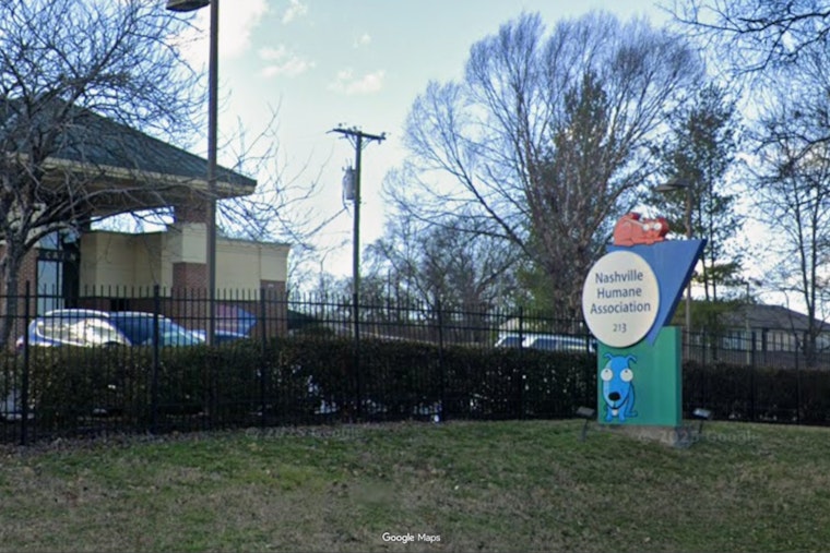 Nashville Humane Takes In 27 Dogs From Puppy Mill Rescue