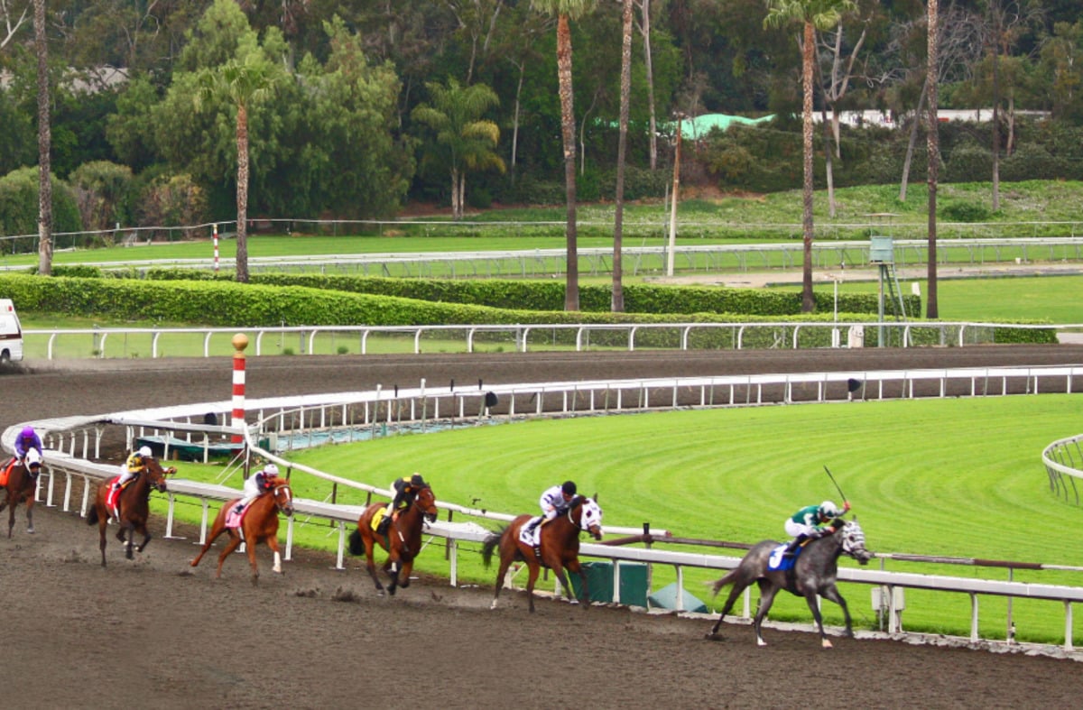 Santa Anita Filly Cosmic Heat Euthanized After Derby Day Fall