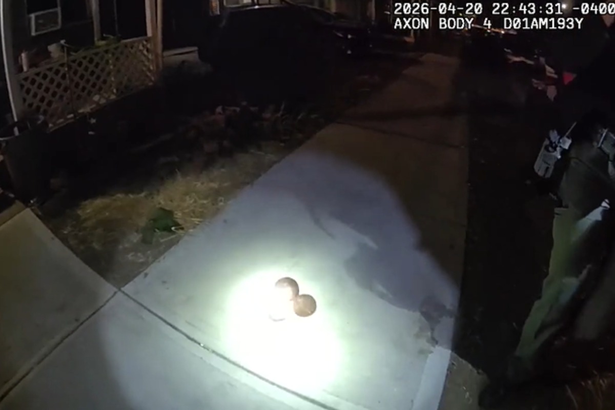 Scrap Hunter’s Civil War Cannonball Find Shakes Quiet Bremen Block