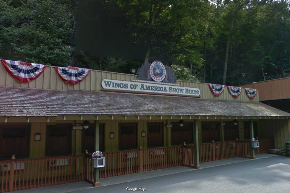 Three Eagles Missing After Dollywood Aviary Damage