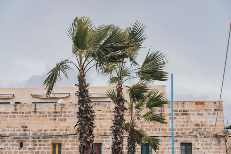 Las Vegas Wind Advisory Today: Gusts Through Early Friday