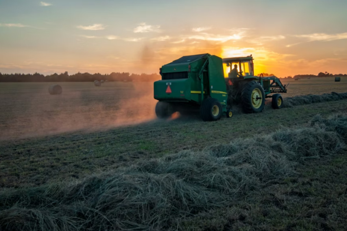 Whatcom Farmer Says Ice Raids Are Gutting Spring Planting Season