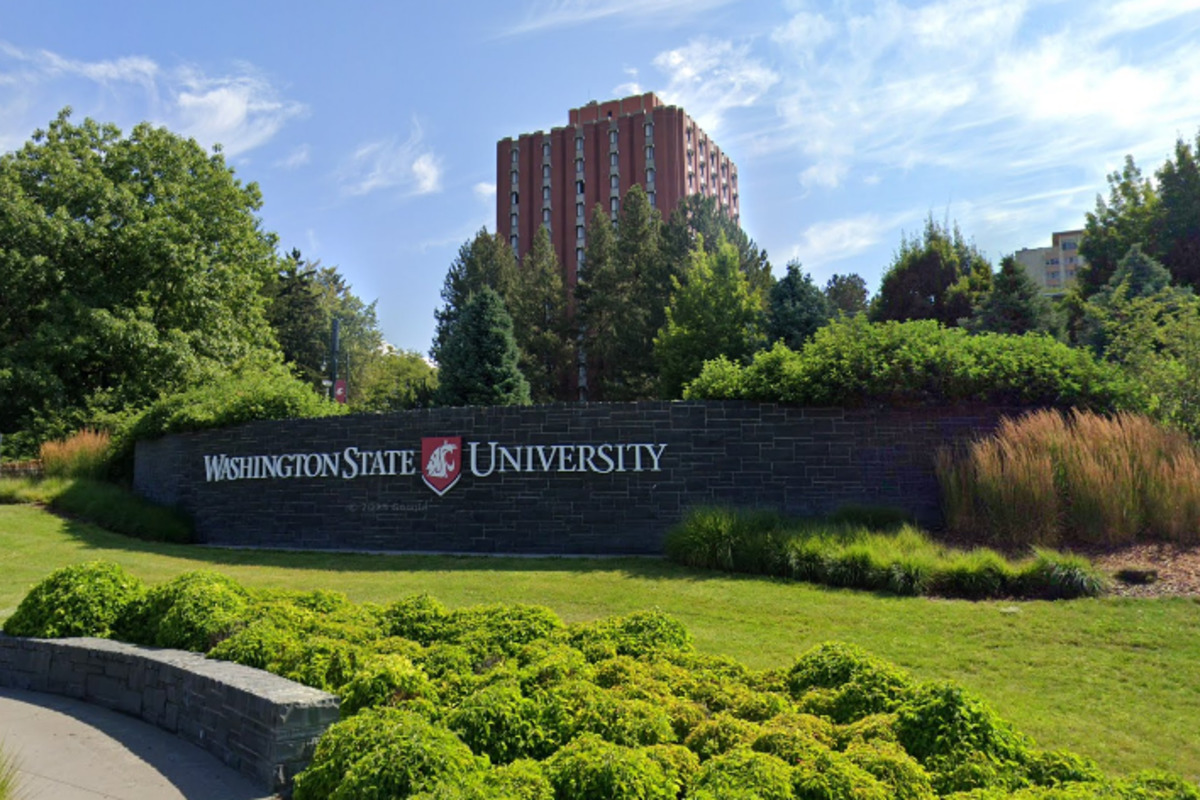 WSU Names Sandra Haynes To Lead Multiple Campuses Amid Enrollment