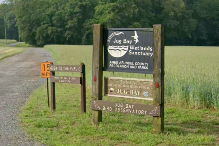 Anne Arundel Opens New Overnight Cabins At Jug Bay